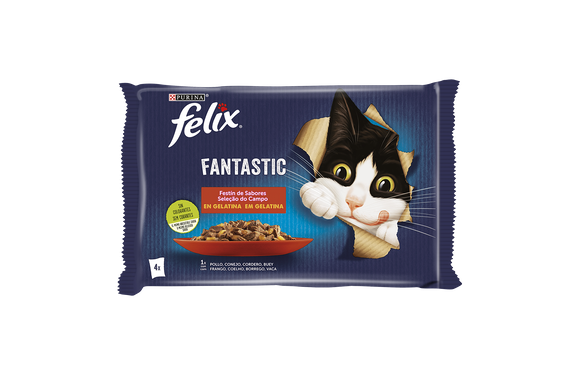 CAMPOCHEIO | FELIX FANTASTIC SELECAO CAMPO 4x85GR | Animais De Companhia