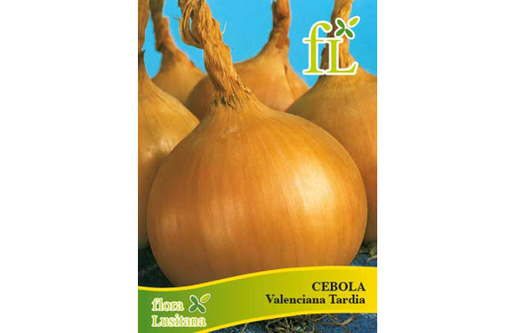 CAMPOCHEIO | CEBOLA VALENCIANA "TARDIA" 10GR | Agricultura