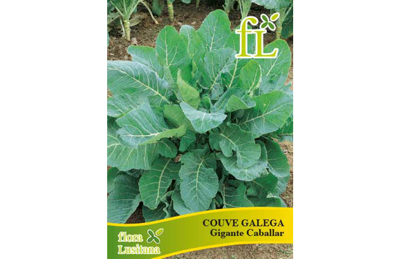 CAMPOCHEIO | COUVE GALEGA GIGANTE CABALLAR 10GR | Agricultura