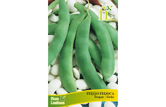 CAMPOCHEIO | FEIJÃO - FEIJOCA 100GR | Agricultura