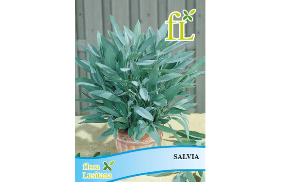 CAMPOCHEIO | SALVIA 5GR | Agricultura