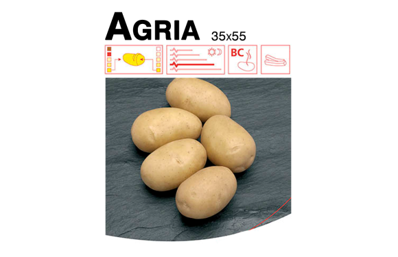 CAMPOCHEIO | AGRIA ALEMANHA 35x55 25 KG EUROPLANT | Agricultura