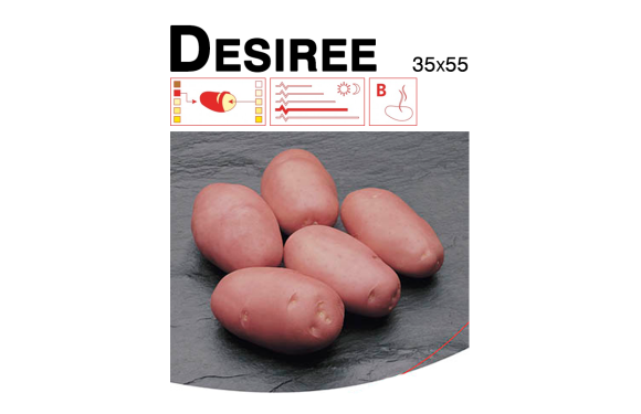 CAMPOCHEIO | Desiree França 35x55 25 Kg Germicopa | Agricultura