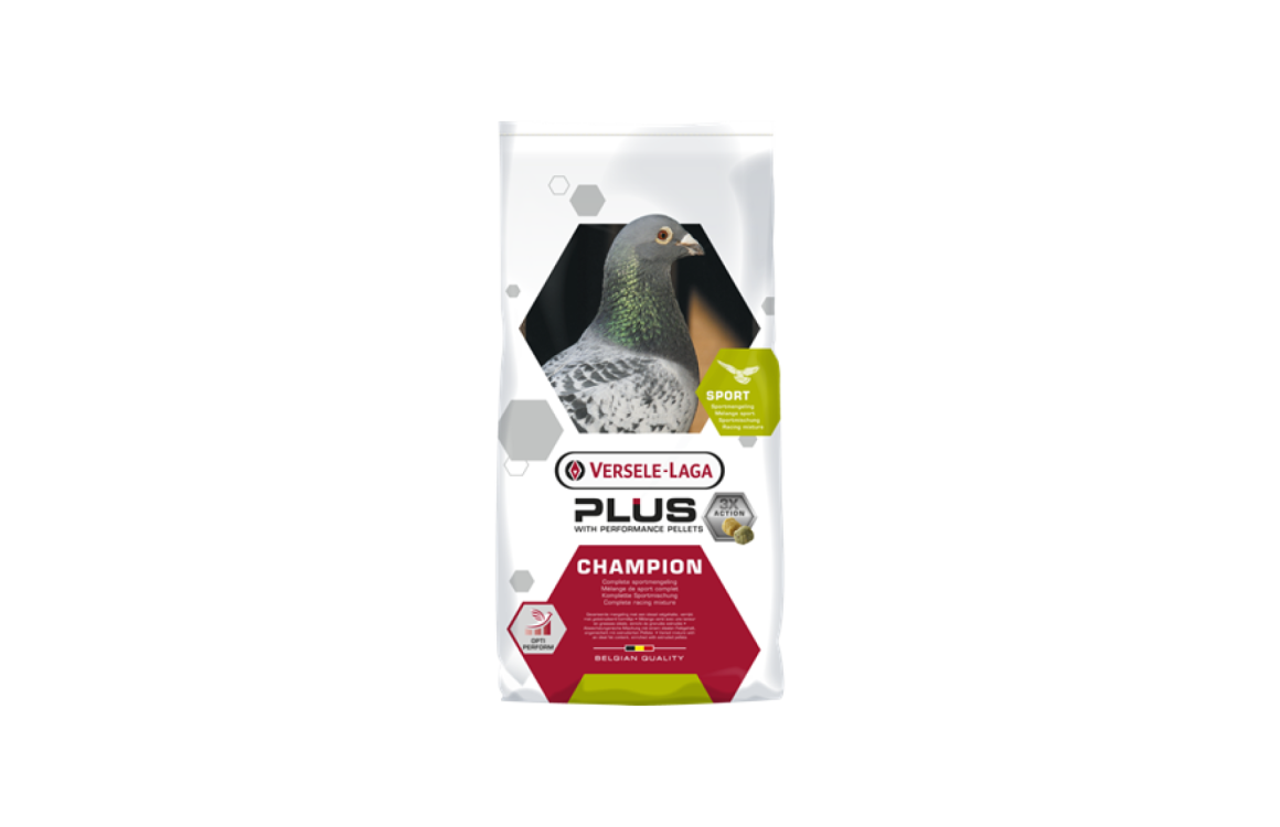 CAMPOCHEIO | Pombos Champion Plus I.c.+ 20kg (verselaga) | Animais De ...
