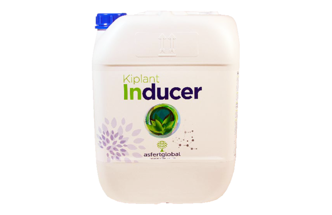 CAMPOCHEIO | Kiplant Inducer 20lt | Agricultura